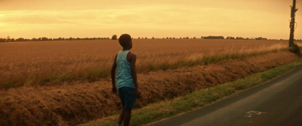 The Last Tree - Chlotrudis Society for Independent Film