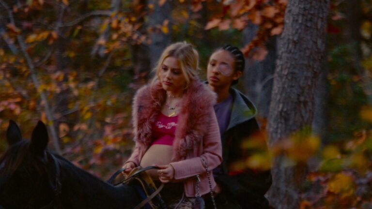 Silver Star - Chlotrudis Society for Independent Film
